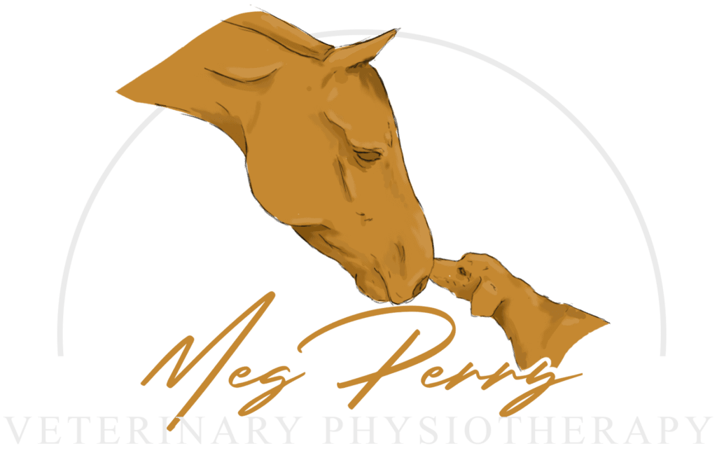 Meg Perry Veterinary Physiotherapy – Mobile Vet Physio Services