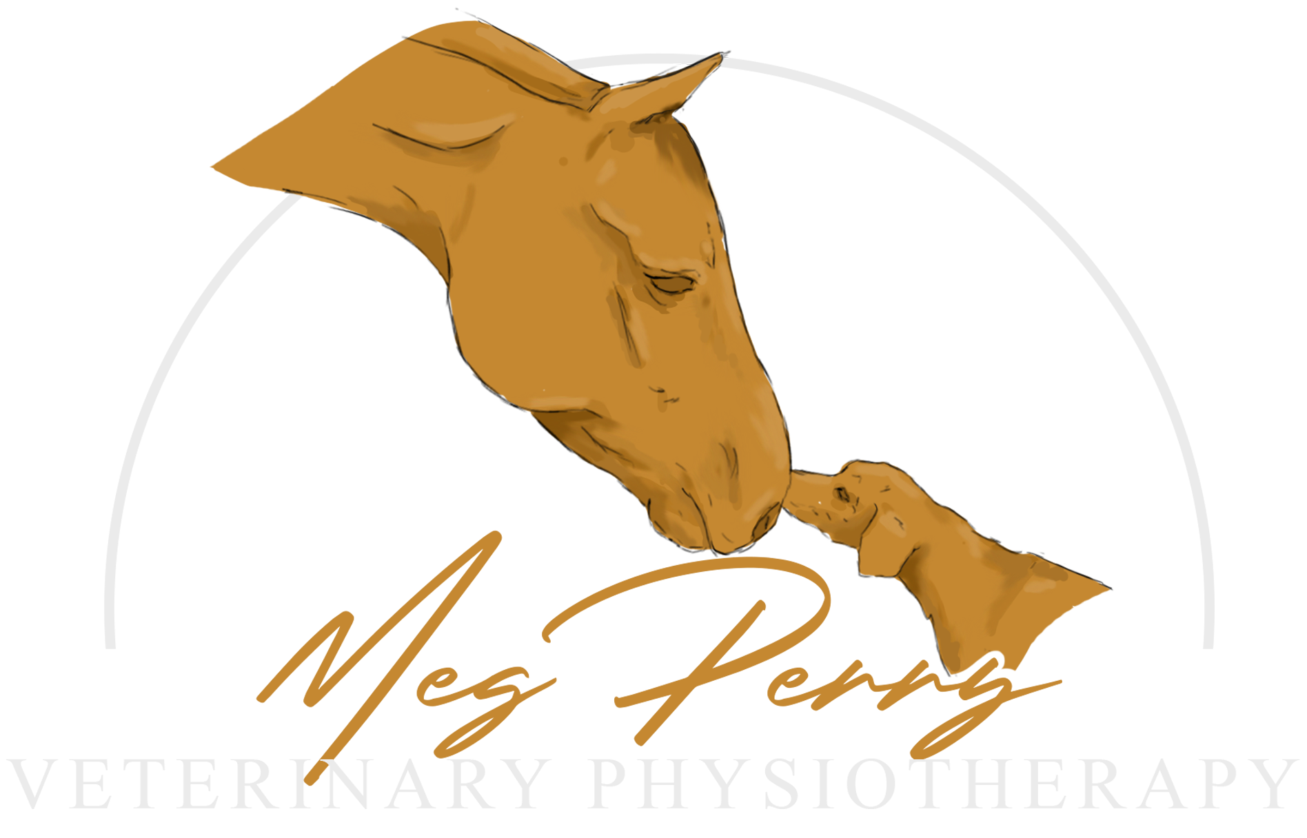 Meg Perry Veterinary Physiotherapy – Mobile Vet Physio Services